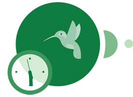 Adjust Custom Features in Make.com – Flows Expertise