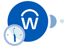 Workday Financial Management | flows Systems